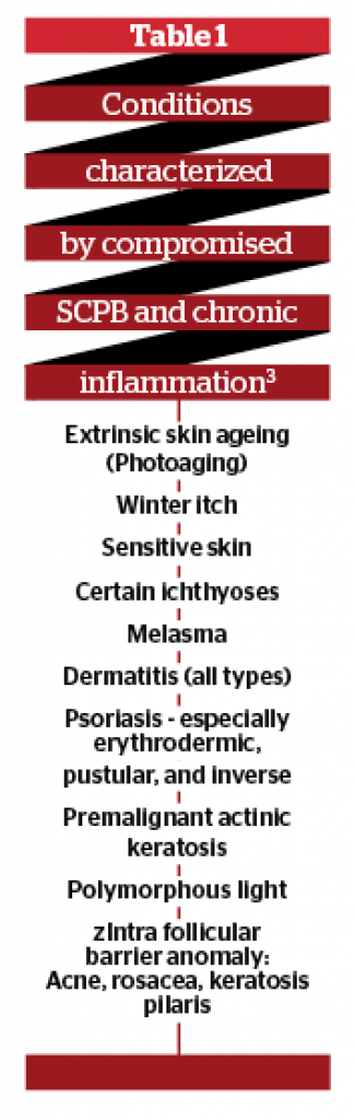 The importance of skin barrier function with sunscreens | PRIME Journal