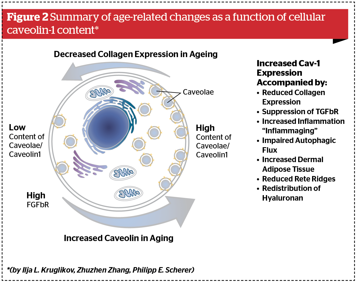 Neo- Collagenogenesis in Aesthetic Dermatology What’s New, What’s True ...