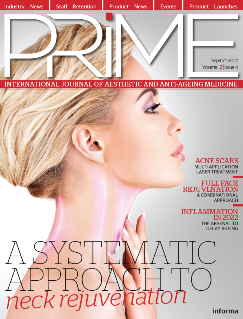 PRIME Journal 2022 Issues | PRIME Journal